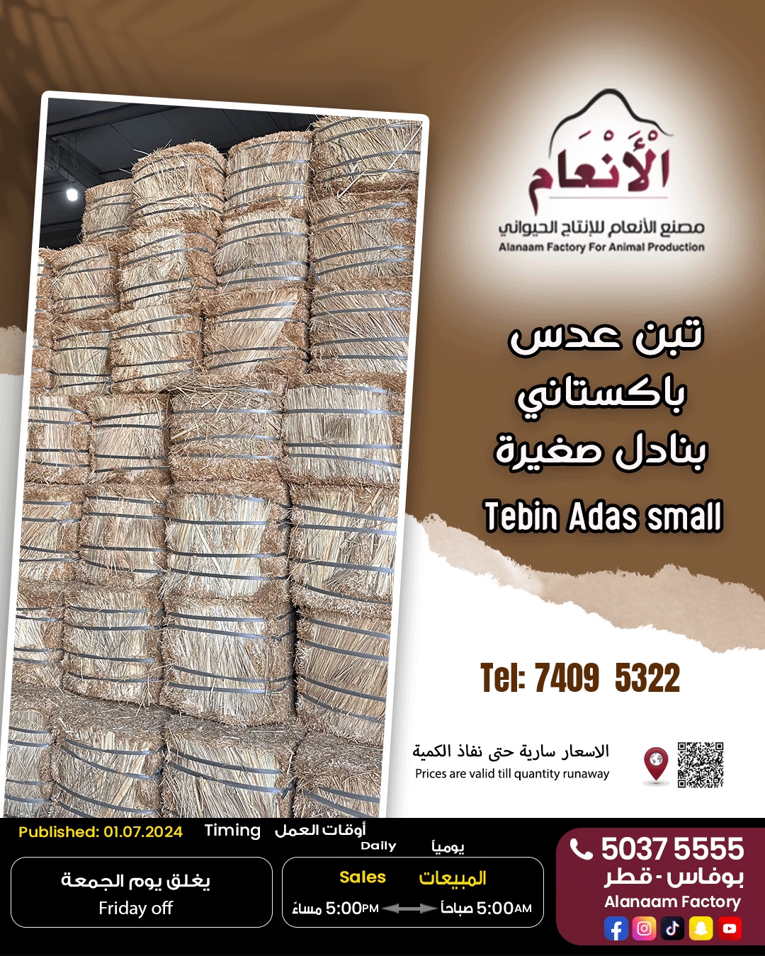 RED LENTILS / TIBEN ADAS