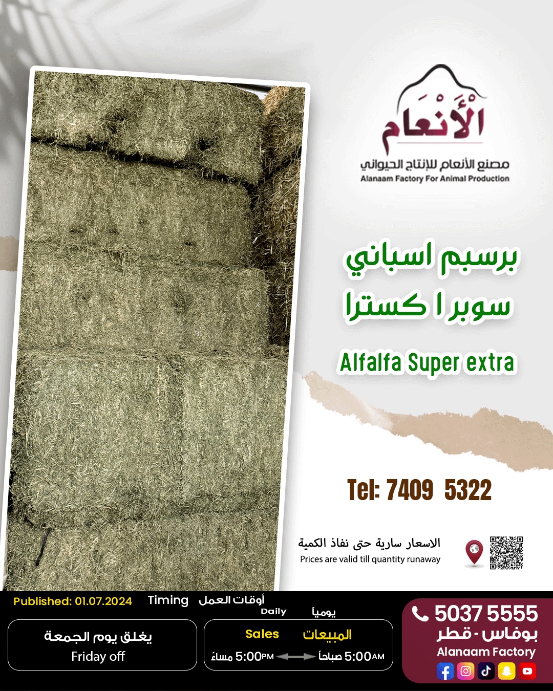 ALFALFA SUPER EXTRA BIG +18