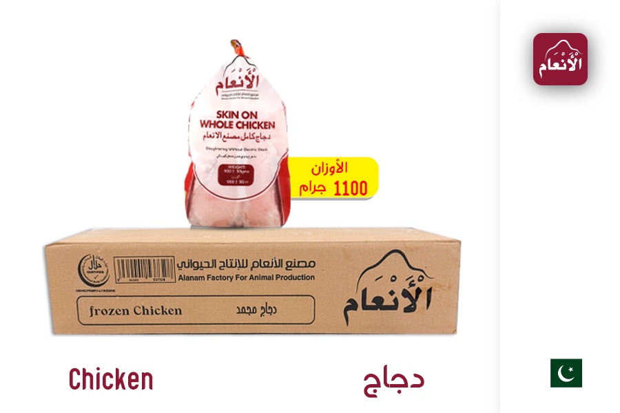 FROZEN CHICKEN BOX 1100 GM