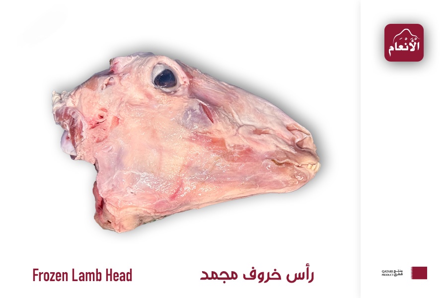 FROZEN LAMB HEAD